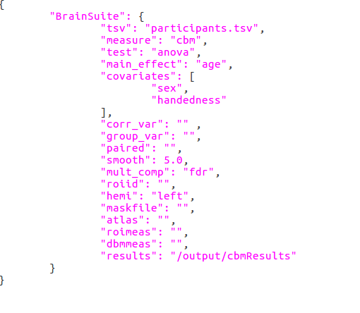 GitHub - bids-apps/BrainSuite