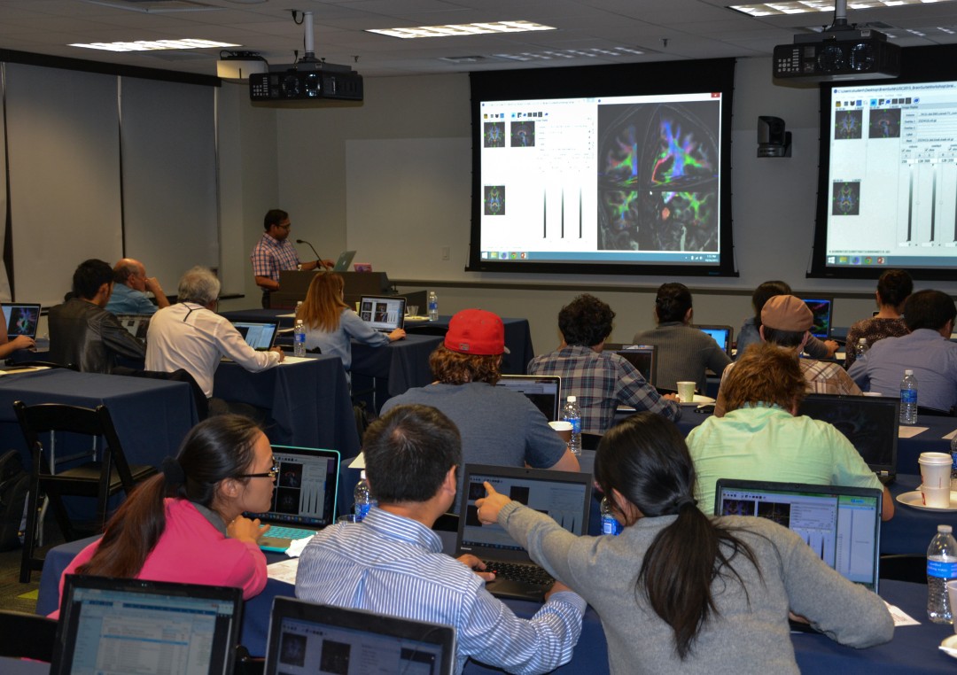 Training Events · BrainSuite