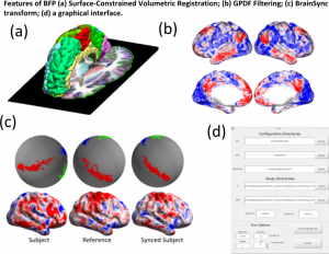 BFP: BrainSuite Functional Pipeline · BrainSuite