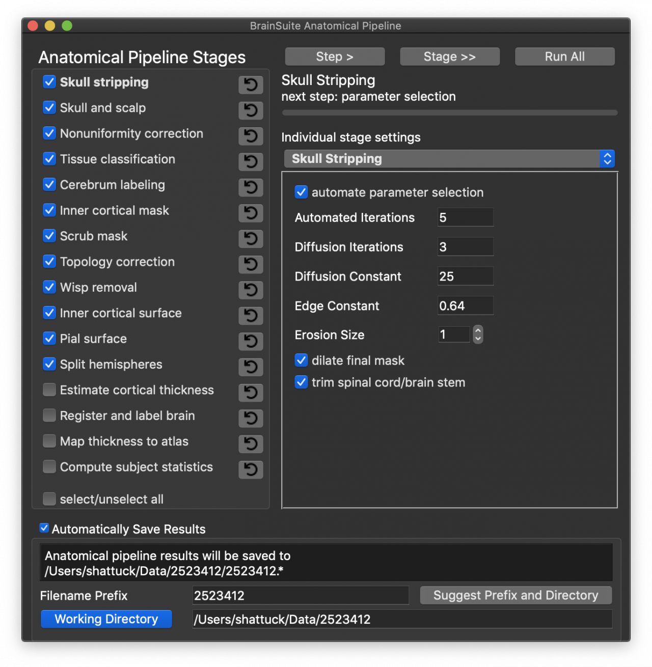 BrainSuite21a Released · BrainSuite