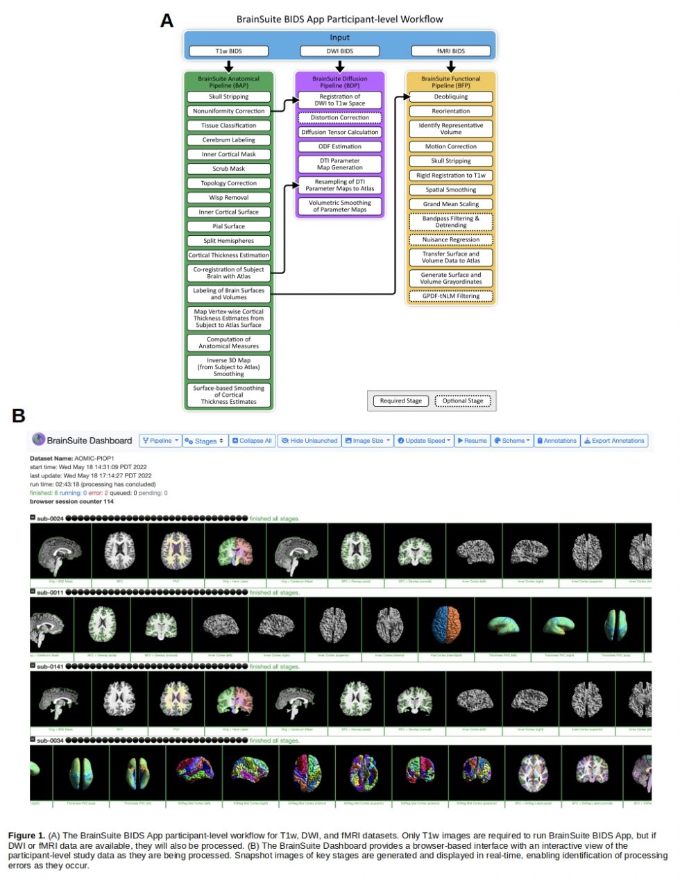 The BrainSuite BIDS App · BrainSuite