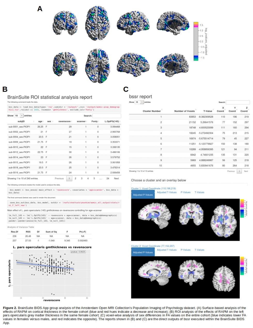The BrainSuite BIDS App · BrainSuite